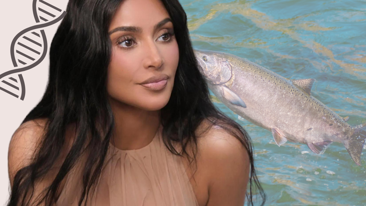 Wat is precies Kim Kardashian’s 'zalmsperma-gezichtsbehandeling' (ook ...